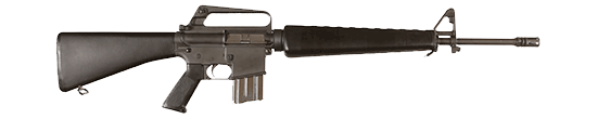 Montrose Auction Inc. – Selling firearms and sporting related items.